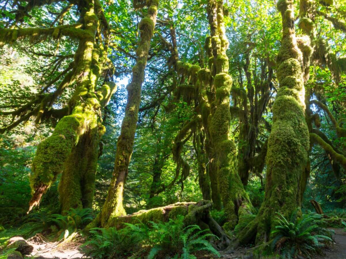 30 Magical Places for Your Washington State Bucket List