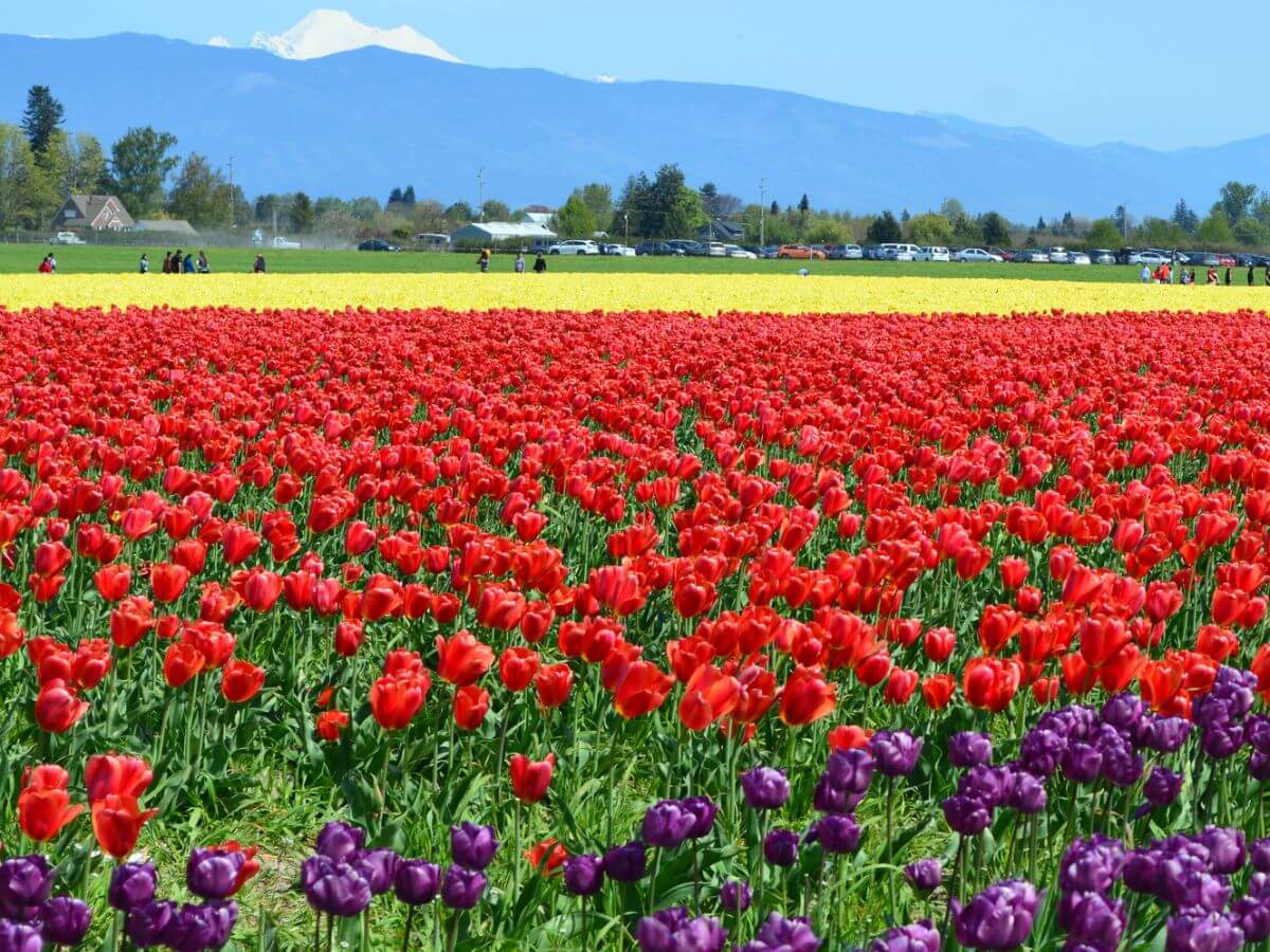 30 Magical Places for Your Washington State Bucket List